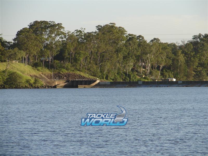 Ben Andersen Barrage | Tackle World Bundaberg