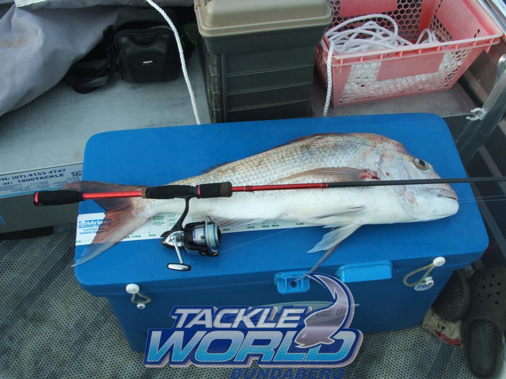 The Southern Gutter | Tackle World Bundaberg